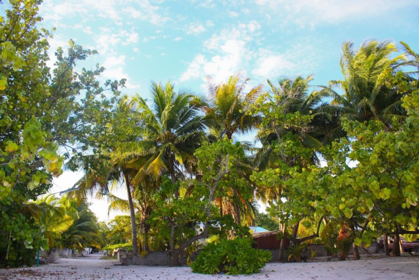 Dhangethi - Malediven Insider